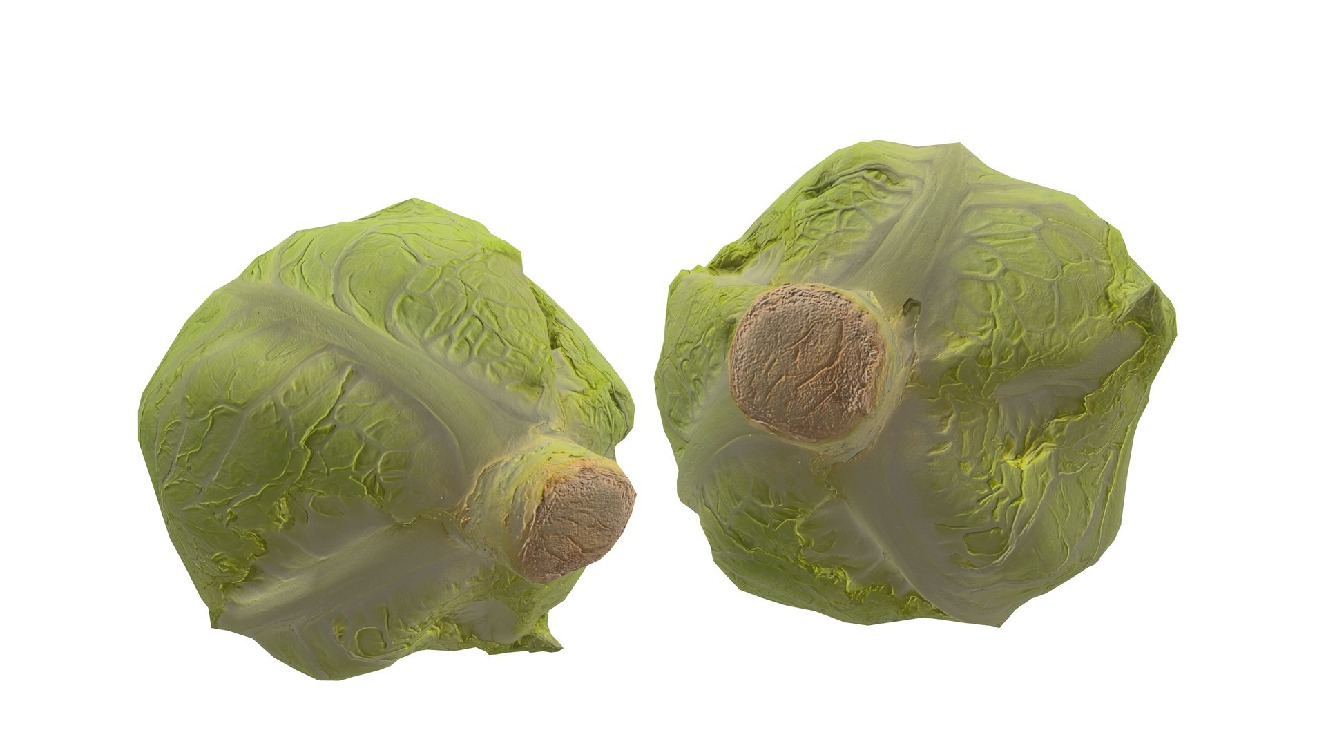 3D Cabbage Vegetable AR VR PBR - TurboSquid 2000856