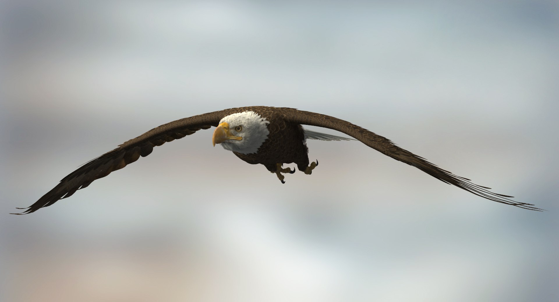 3D american bald eagle rigged model - TurboSquid 1171904