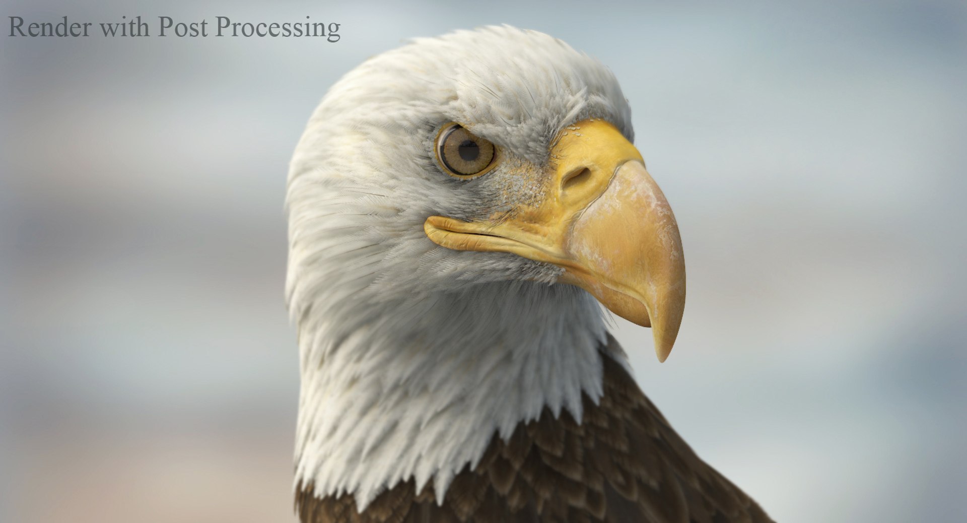 3D american bald eagle rigged model - TurboSquid 1171904