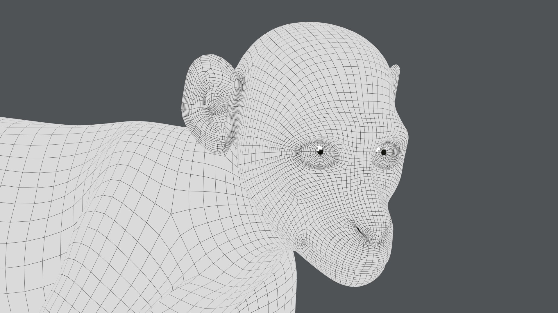 Monkey Ververt Fur 3D - TurboSquid 1711856