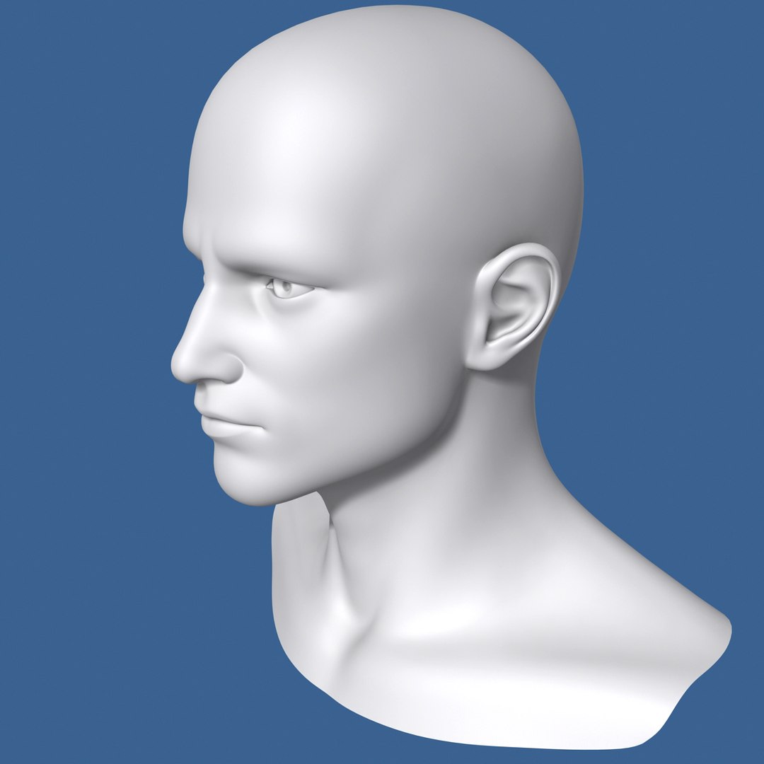 Male Head 3d Model