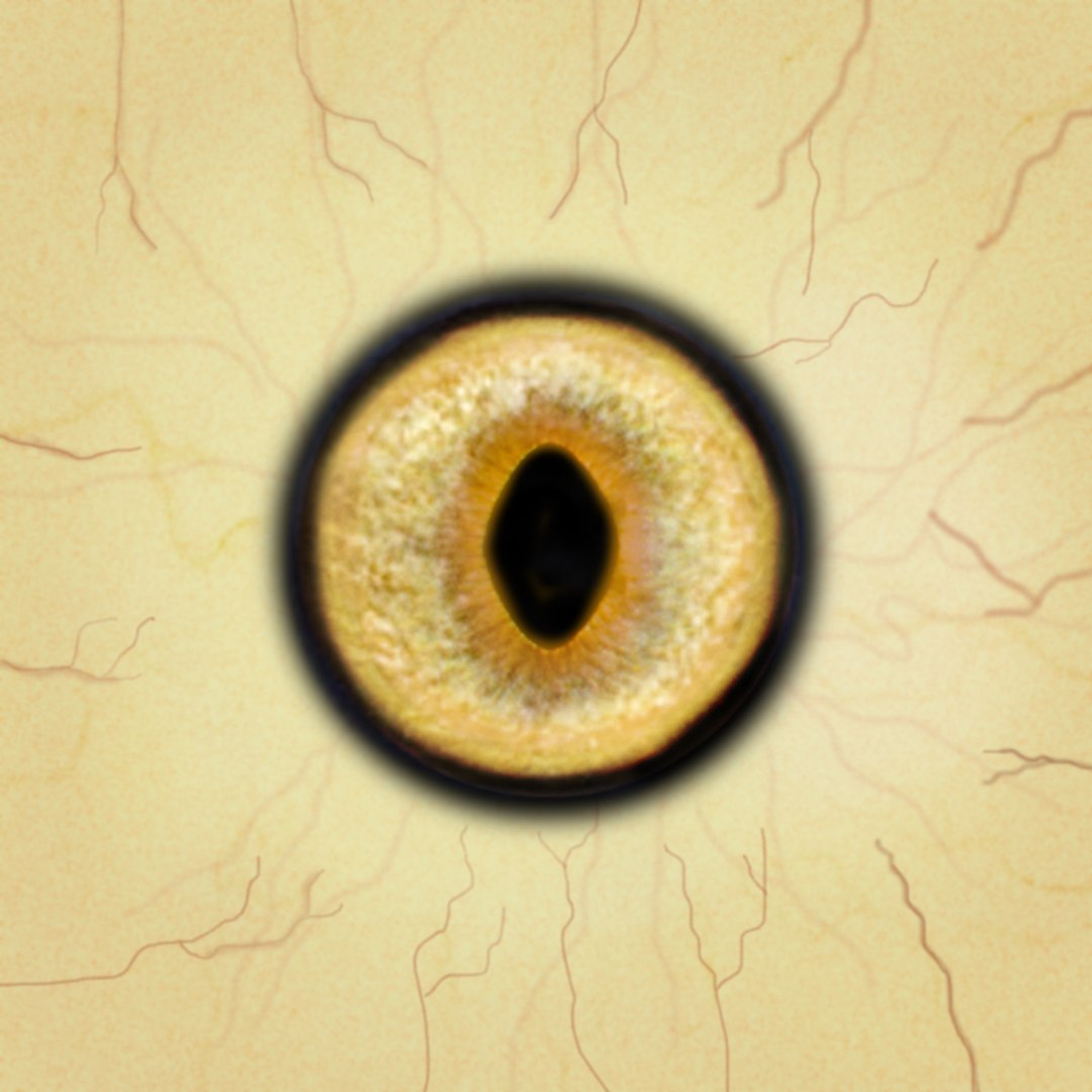 Plesiosaurus Dinosaur 3d Model