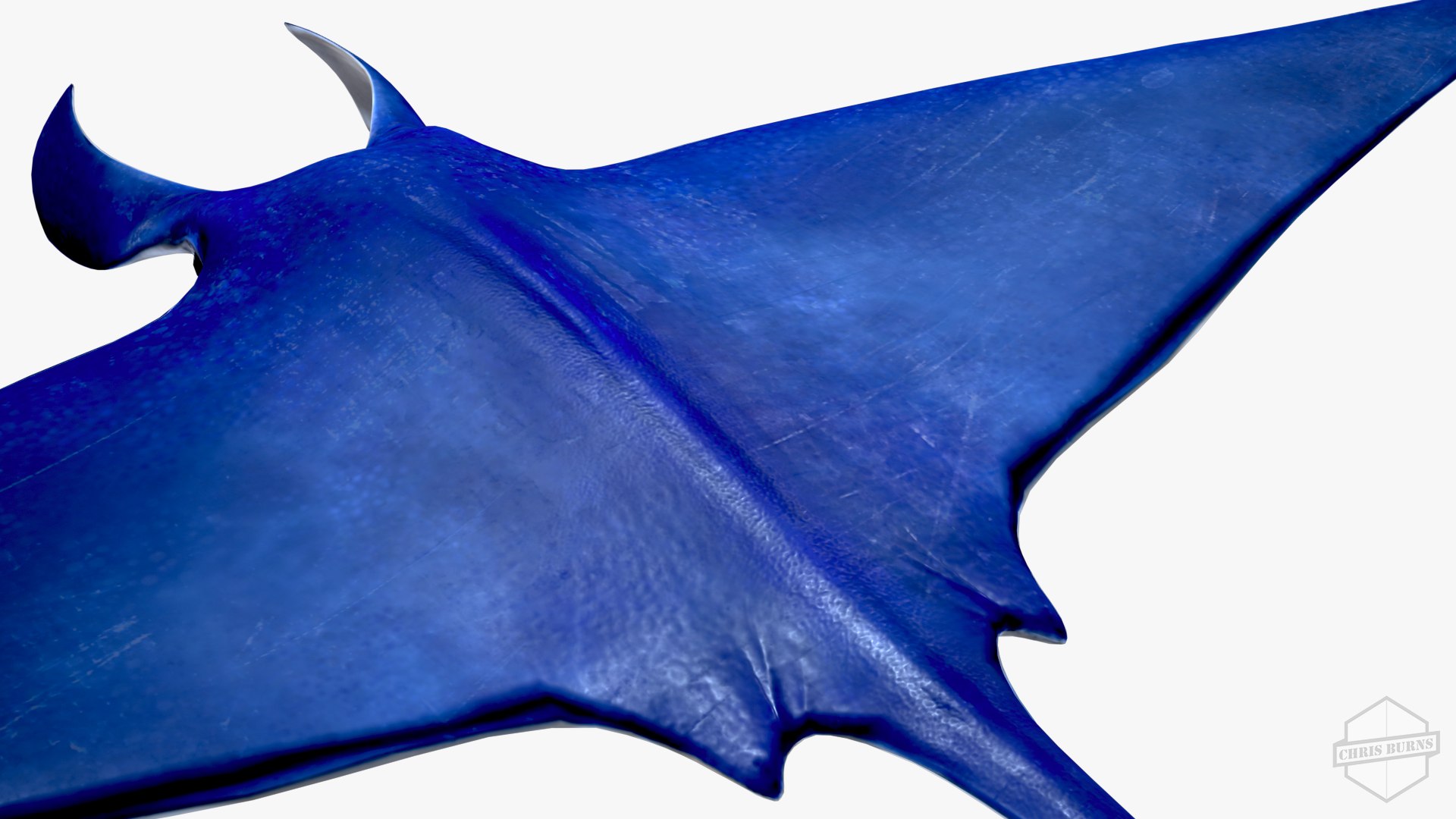 Manta Ray Model - TurboSquid 2014191