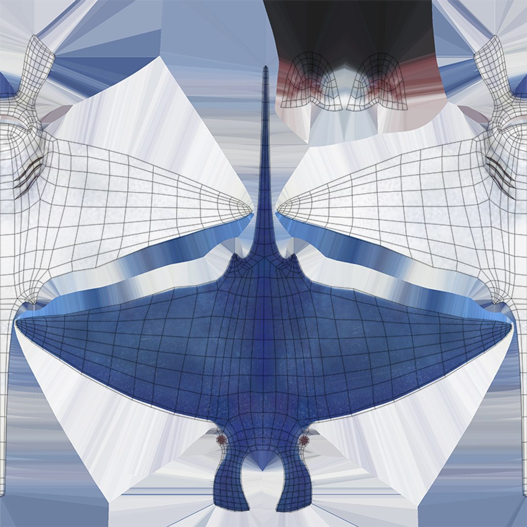 Manta Ray Model - TurboSquid 2014191