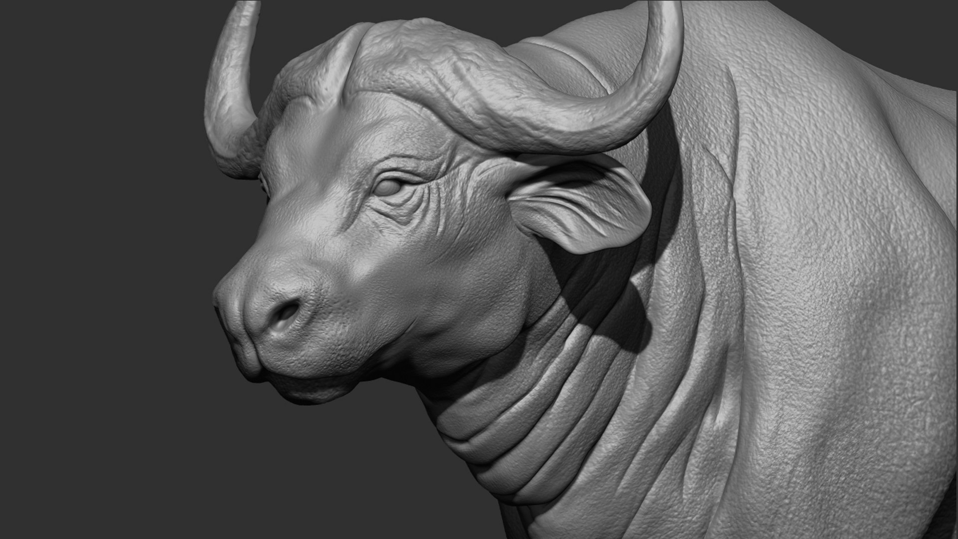 Buffalo 3D - TurboSquid 1809903