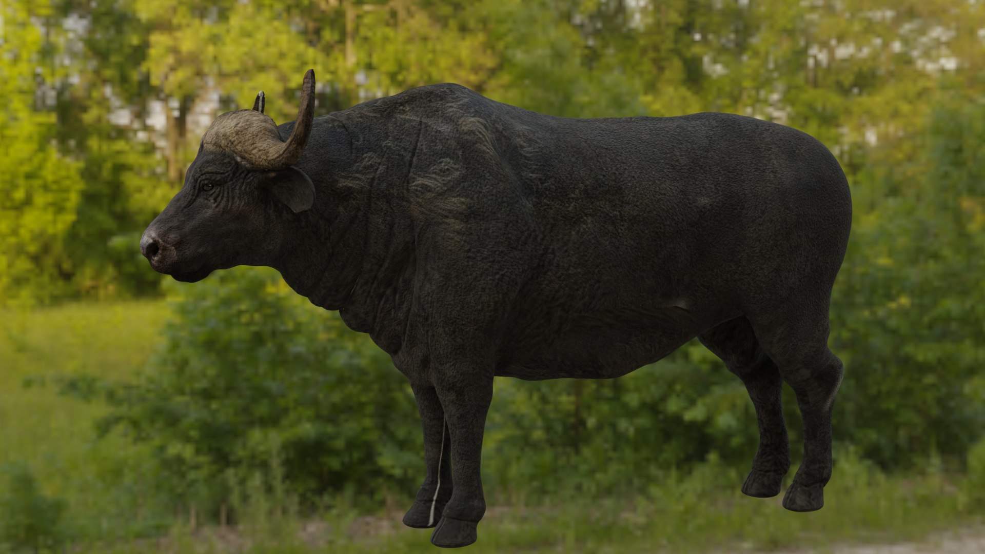 Buffalo 3D - TurboSquid 1809903
