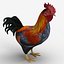 Dugm02 Rooster 3d Dxf