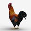 Dugm02 Rooster 3d Dxf