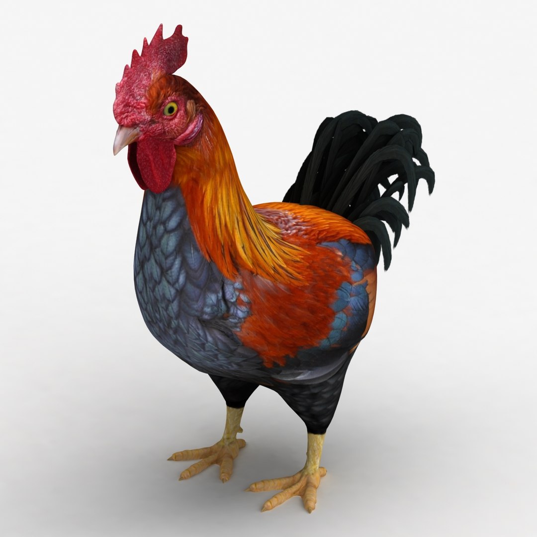 Dugm02 Rooster 3d Dxf