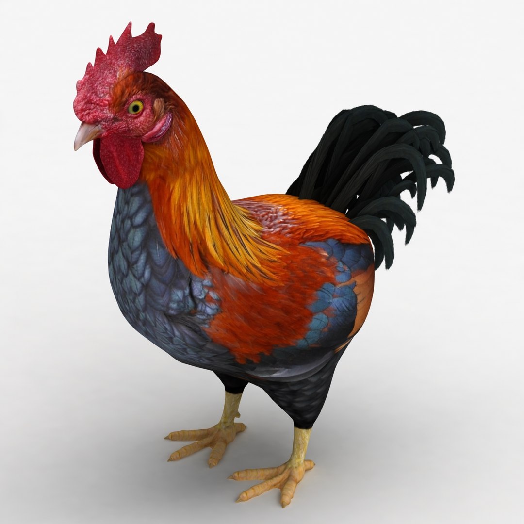 Dugm02 Rooster 3d Dxf