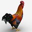 Dugm02 Rooster 3d Dxf