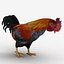 Dugm02 Rooster 3d Dxf