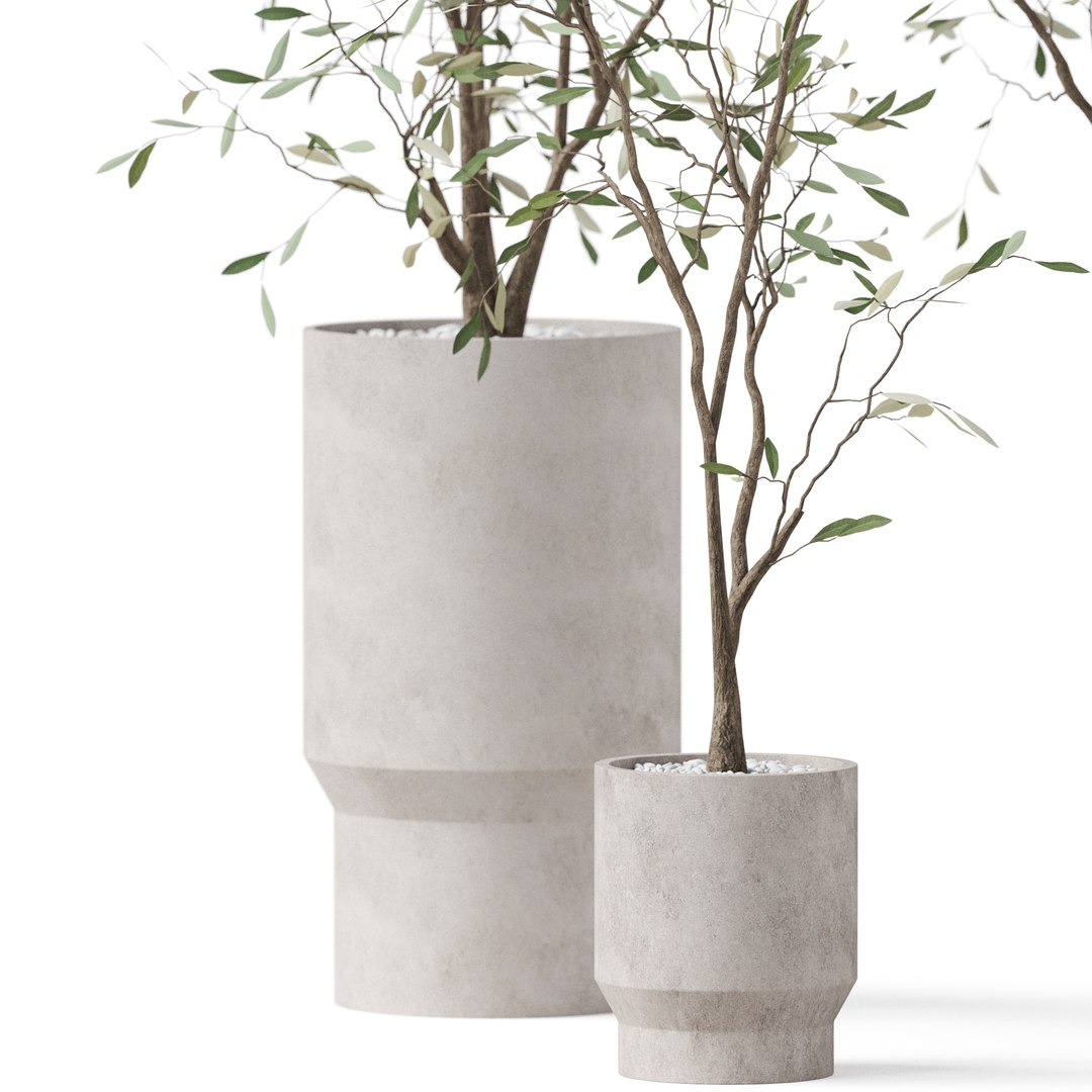 Plants Collection 900 3D Model - TurboSquid 2032648