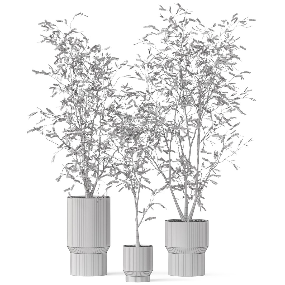 Plants Collection 900 3D Model - TurboSquid 2032648