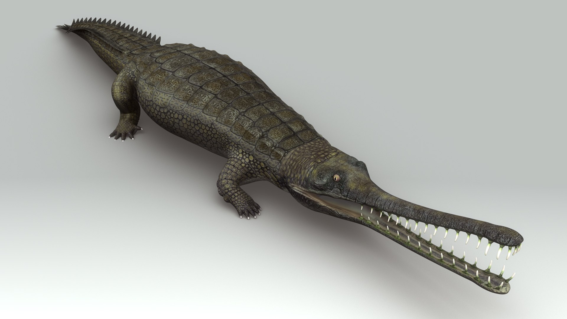 Obj Gharial Gavial Crocodile