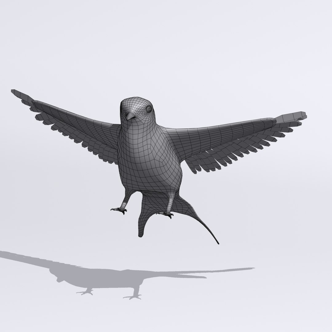 swallow 3d model