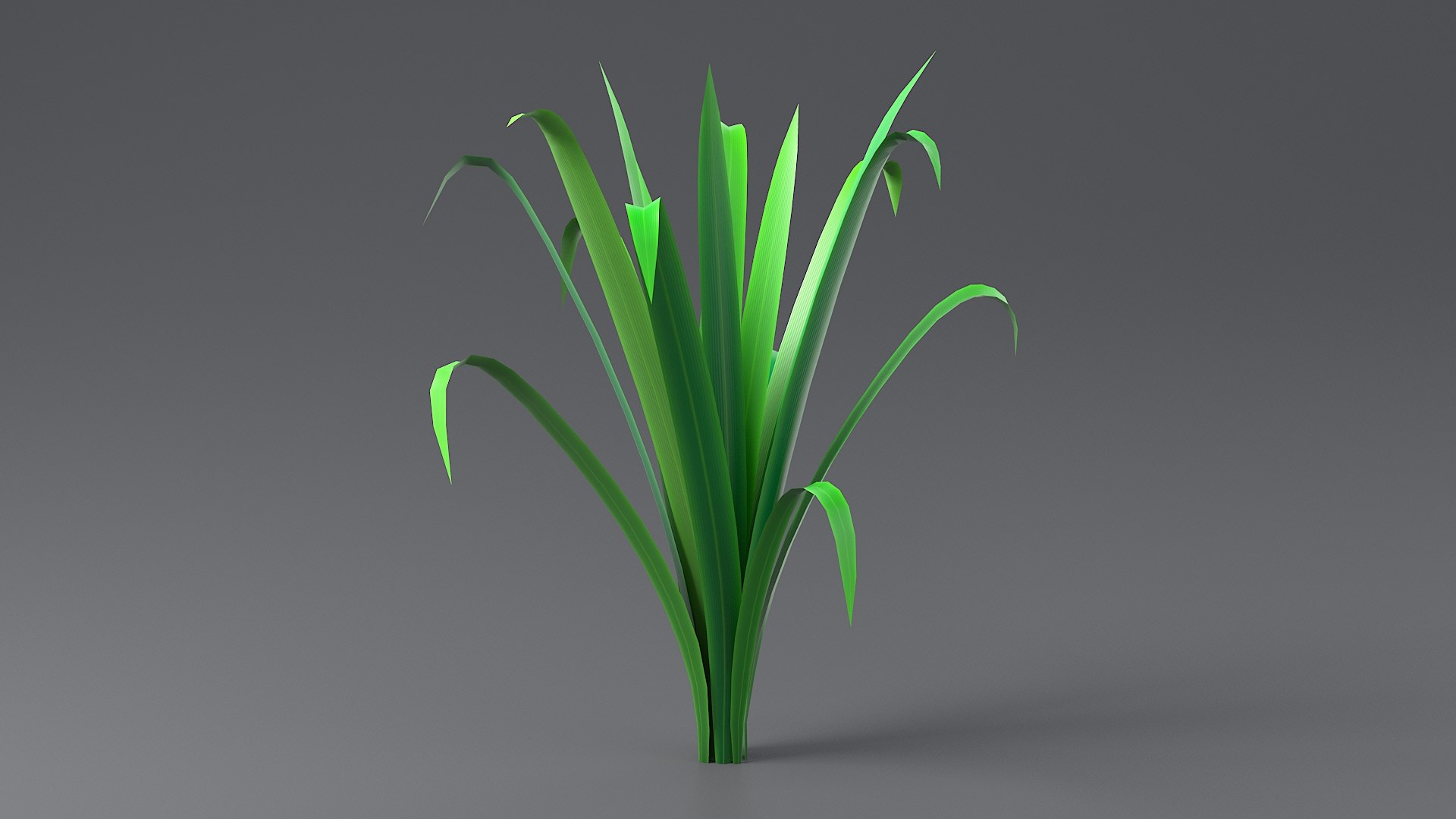 Cartoon Long Grass 05 Model - TurboSquid 2046380