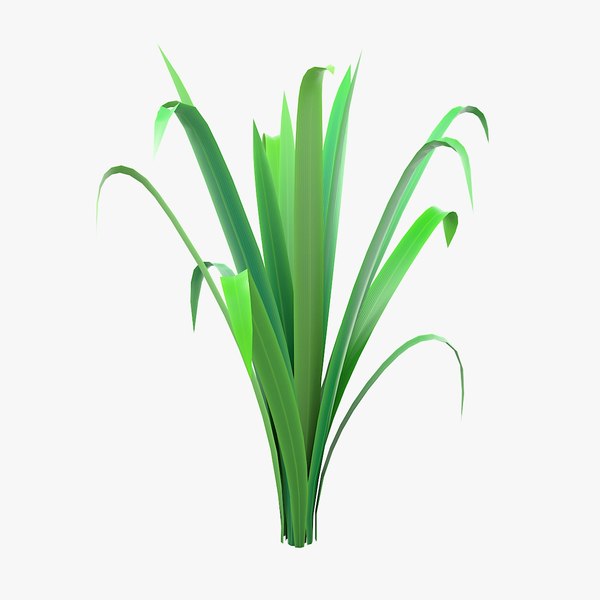 Cartoon Long Grass 05 model - TurboSquid 2046380