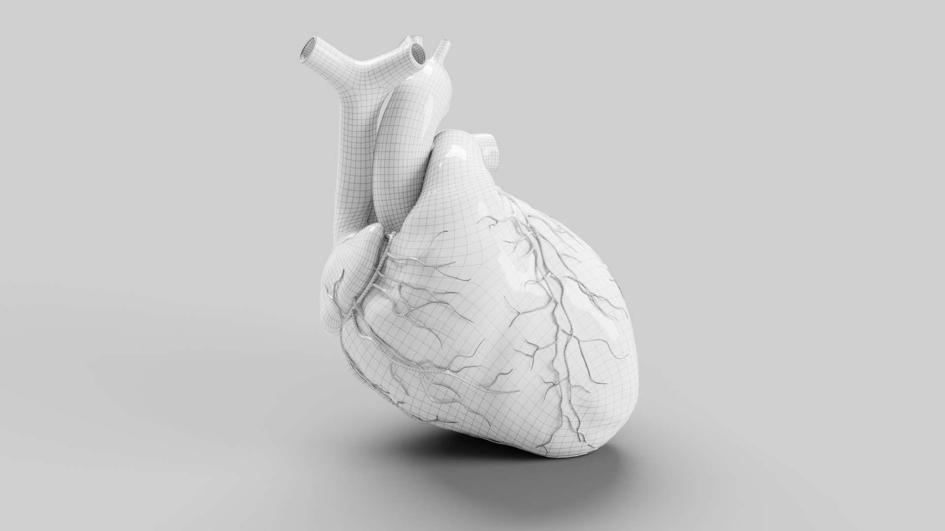 Human Heart Medical Model 3D Model - TurboSquid 2249456