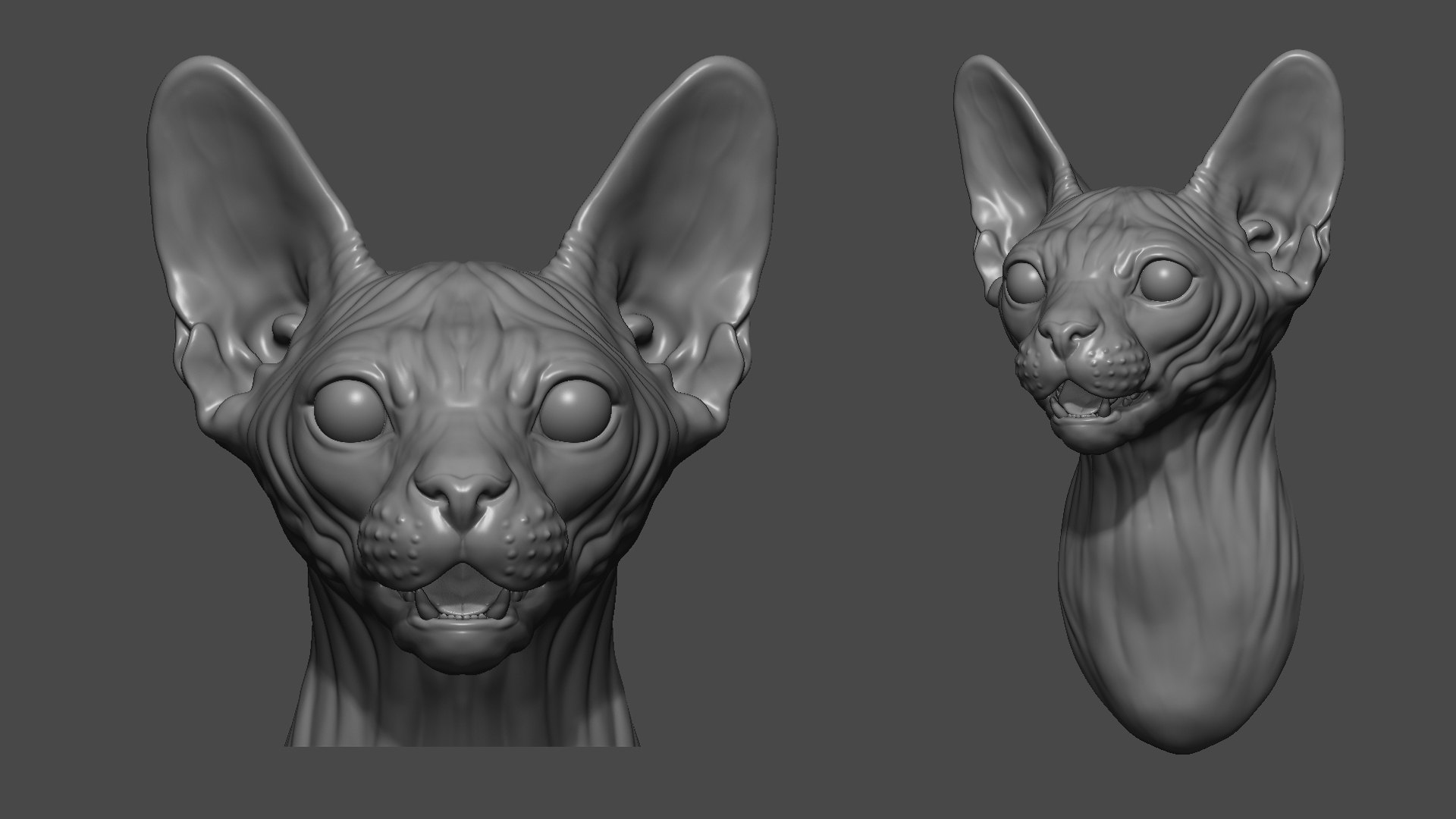 3D Sphinx Cat Head Model - TurboSquid 2327440