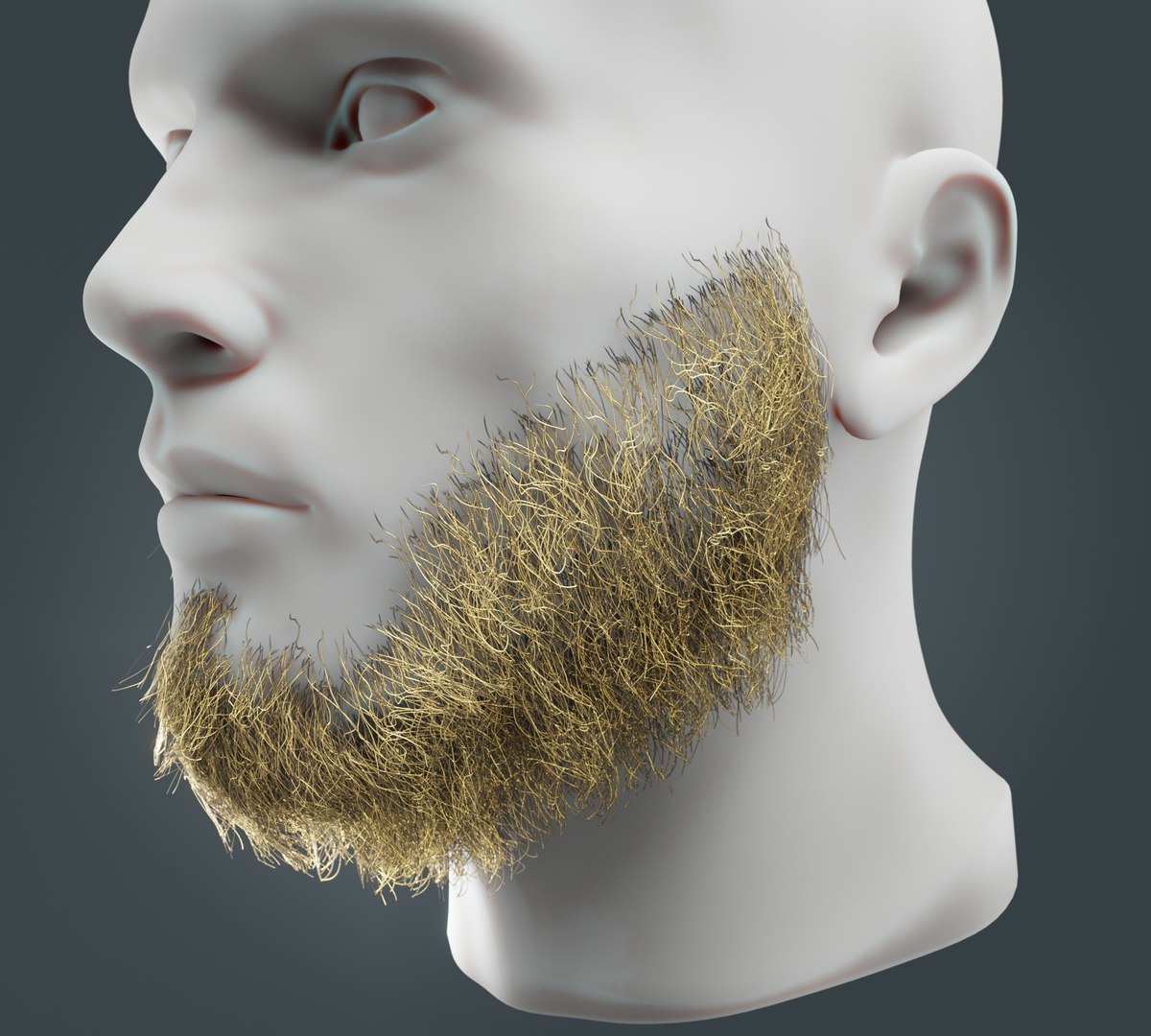 Beard RealTime 12 Version 2 3D model - TurboSquid 1892367