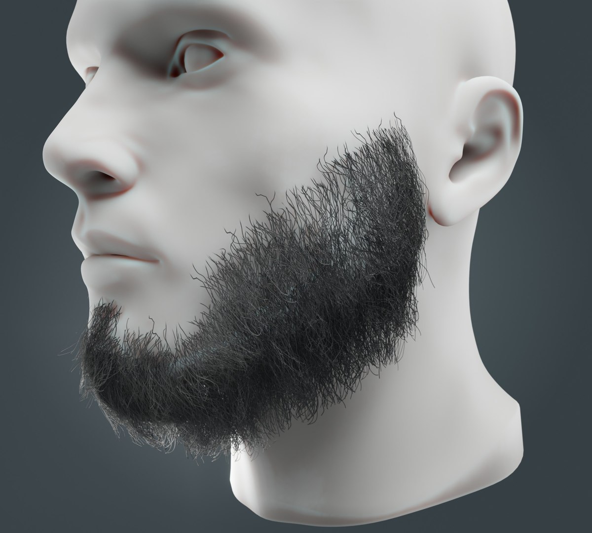 Beard RealTime 12 Version 2 3D model - TurboSquid 1892367