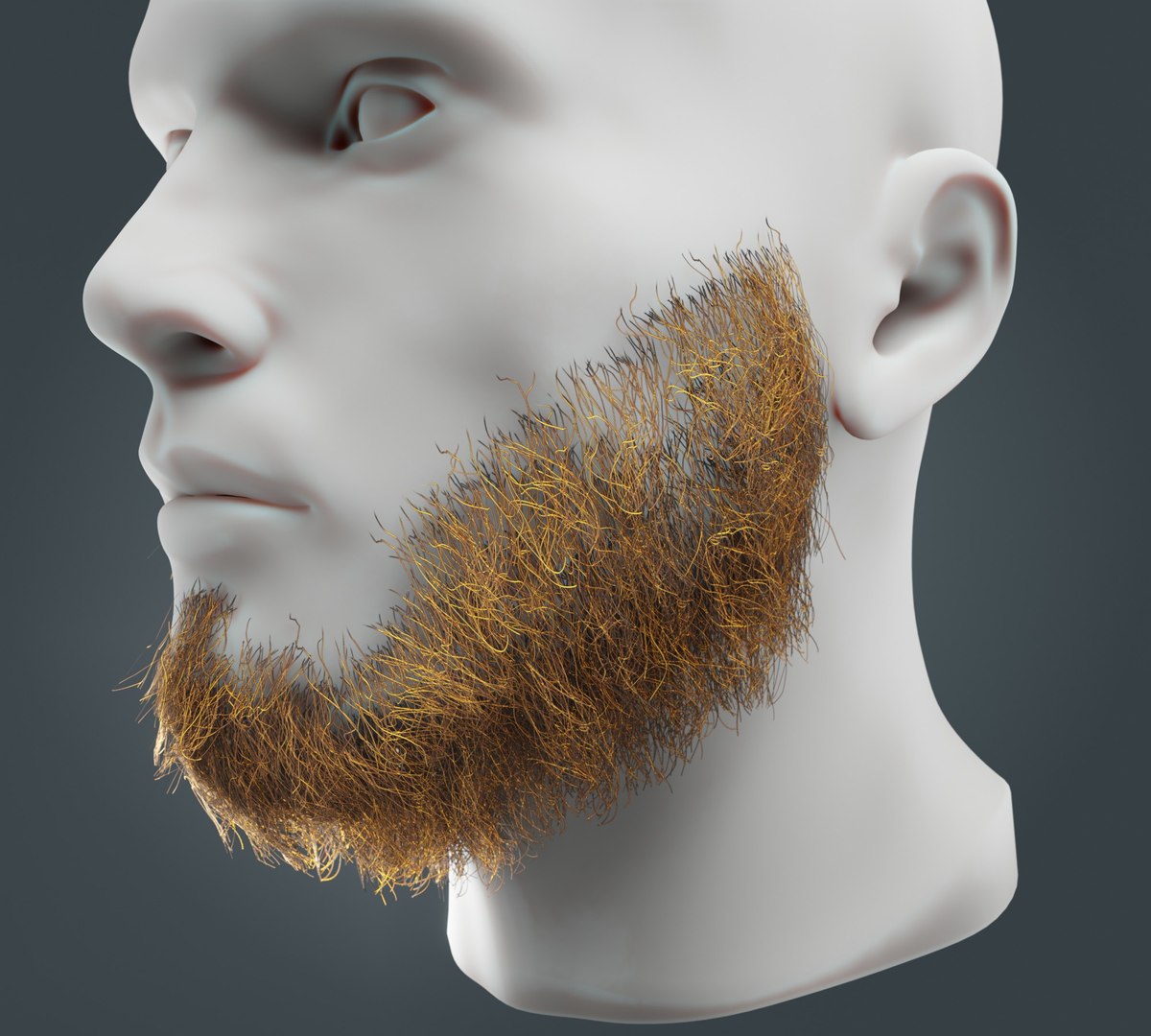 Beard RealTime 12 Version 2 3D model - TurboSquid 1892367