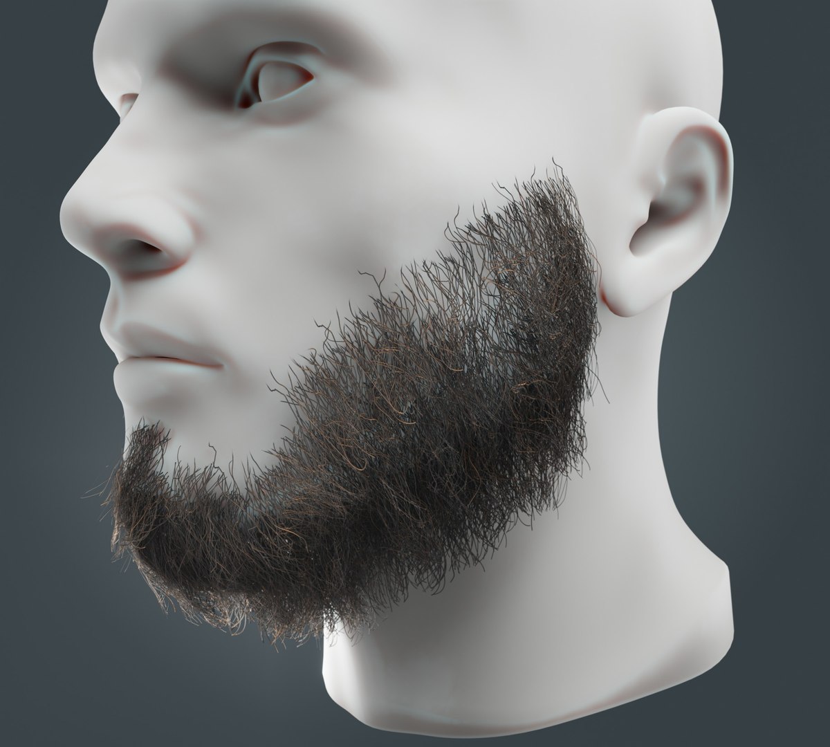 Beard RealTime 12 Version 2 3D model - TurboSquid 1892367