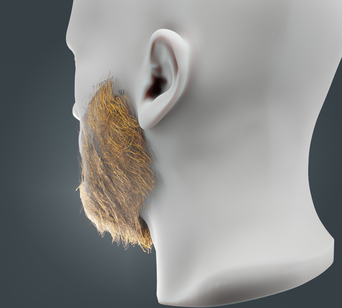 Beard RealTime 12 Version 2 3D model - TurboSquid 1892367