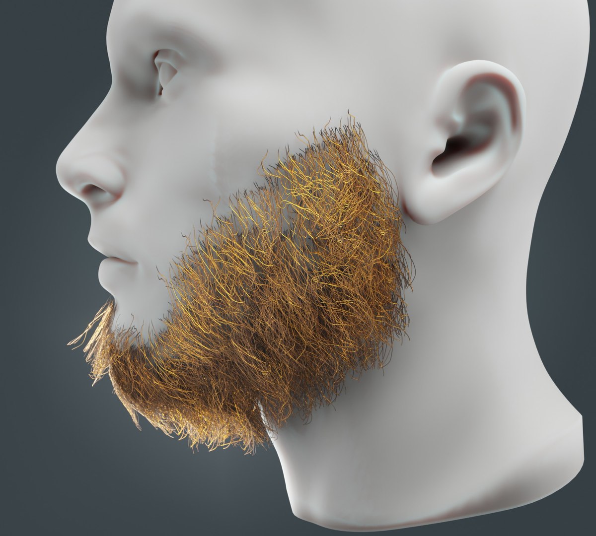 Beard RealTime 12 Version 2 3D model - TurboSquid 1892367