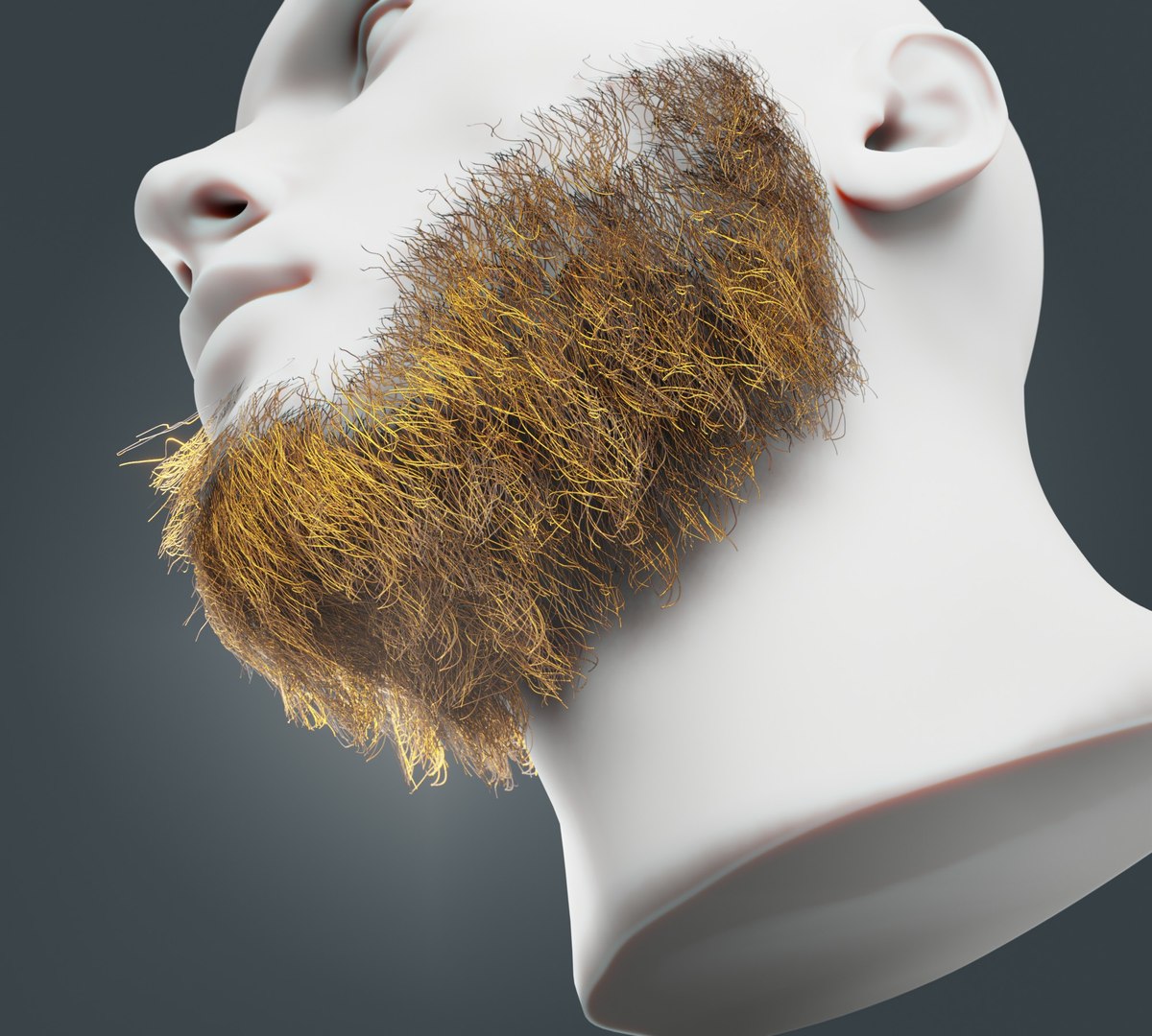 Beard RealTime 12 Version 2 3D model - TurboSquid 1892367