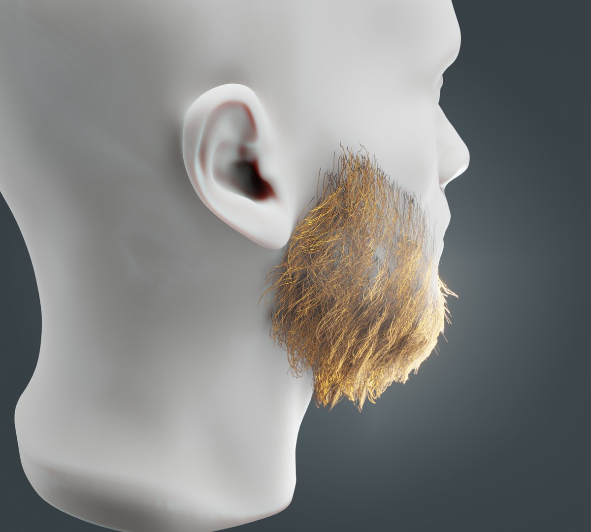 Beard RealTime 12 Version 2 3D model - TurboSquid 1892367