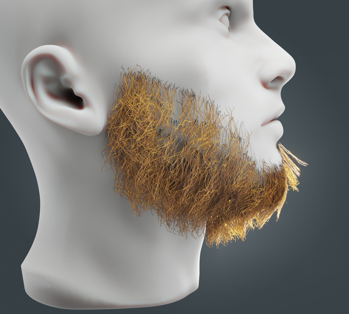 Beard RealTime 12 Version 2 3D model - TurboSquid 1892367
