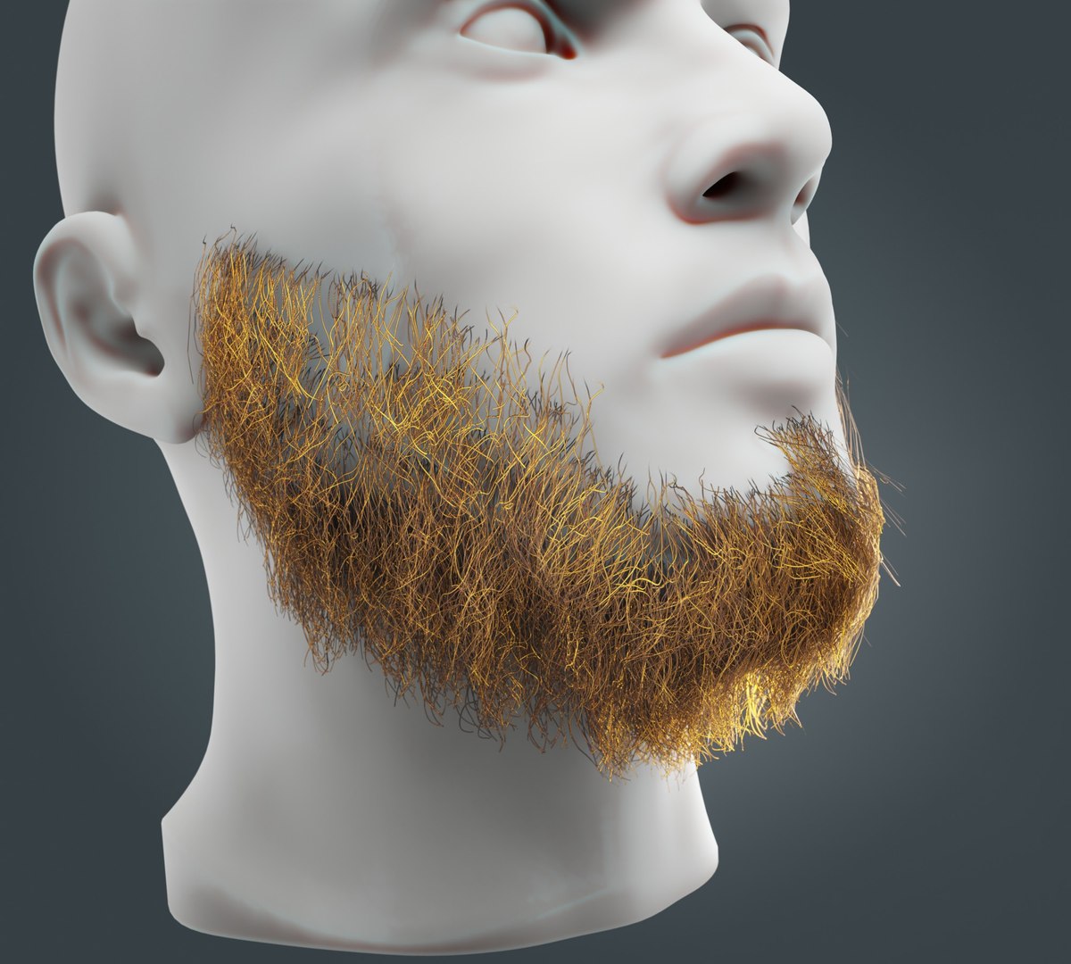 Beard RealTime 12 Version 2 3D model - TurboSquid 1892367
