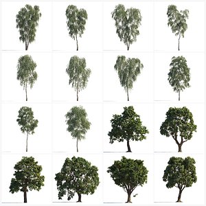 3d Model Of Archmodels Vol 154 Plants Trees