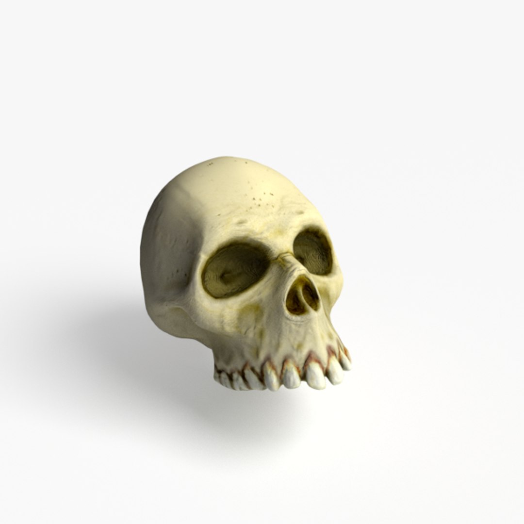 Cartoon Skull Obj