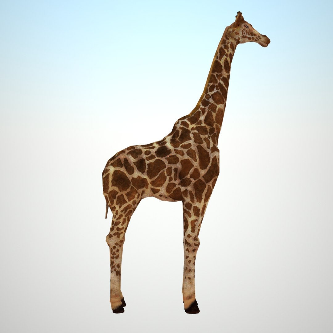 3d Model Of Giraffe