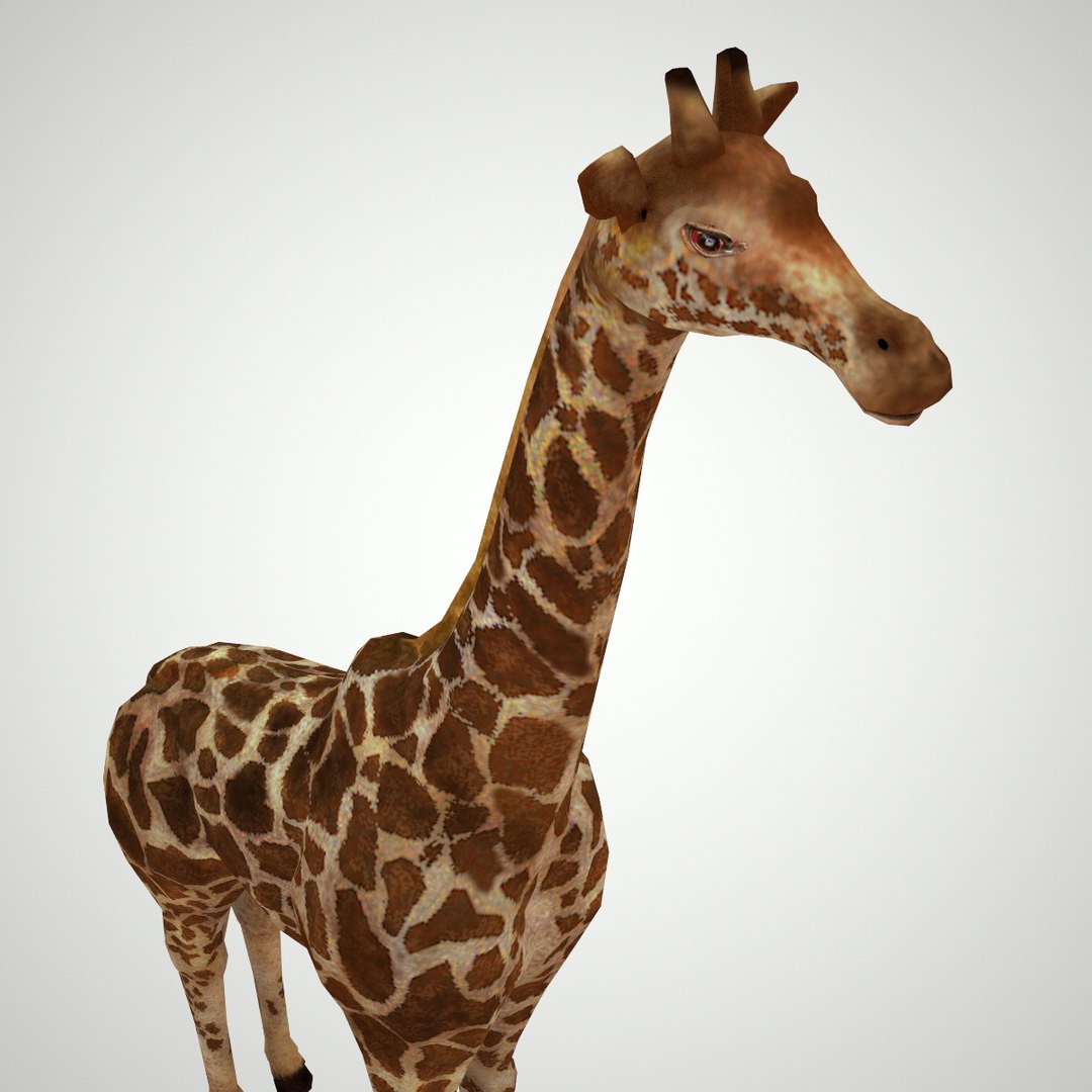 3d Model Of Giraffe