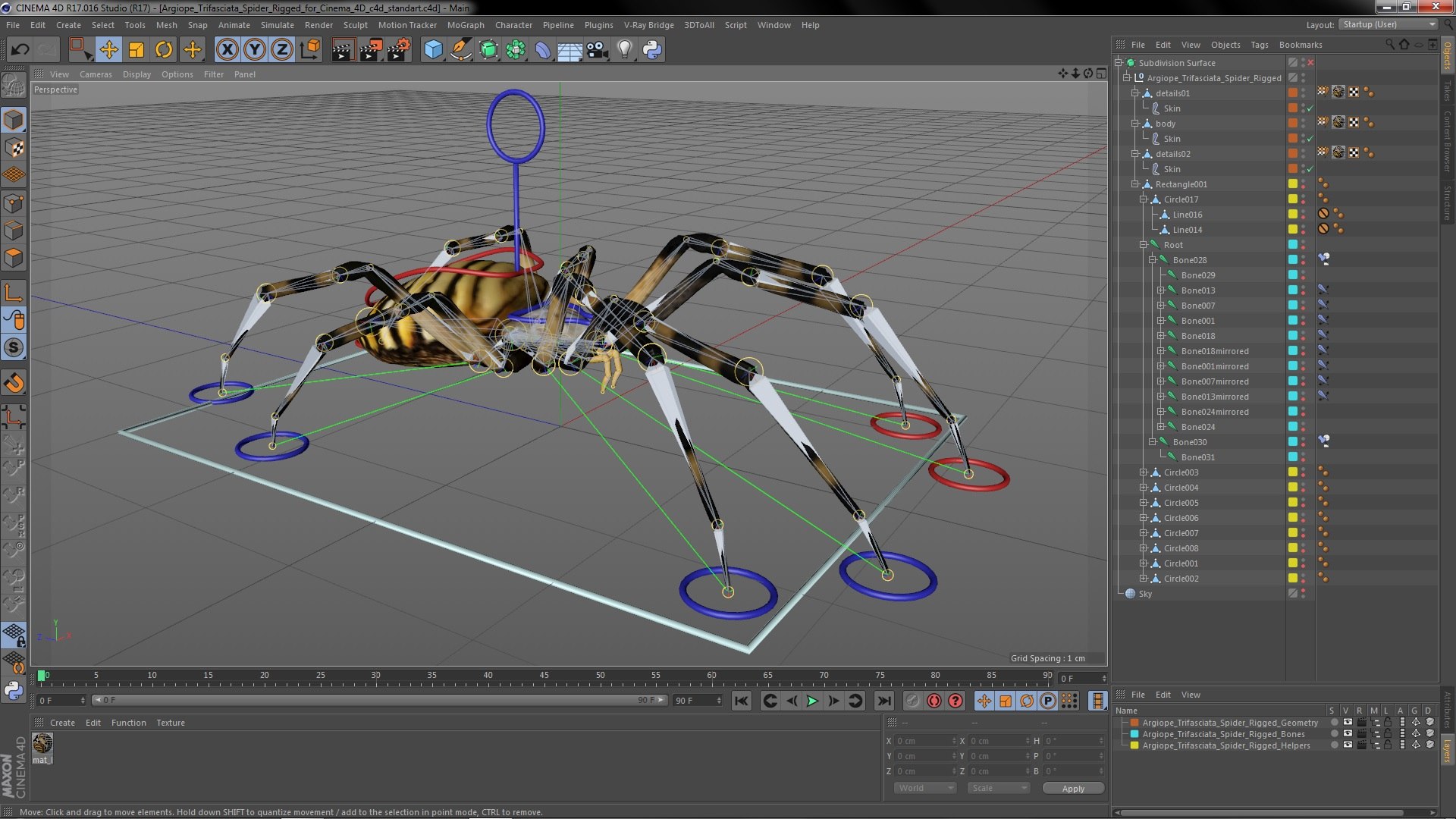 3D Argiope Trifasciata Spider Rigged For Cinema 4D - TurboSquid 1964606