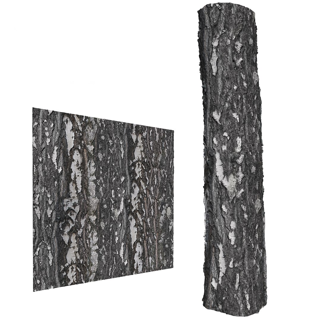 3D Ultra Realistic Tree Bark Model - TurboSquid 1333188