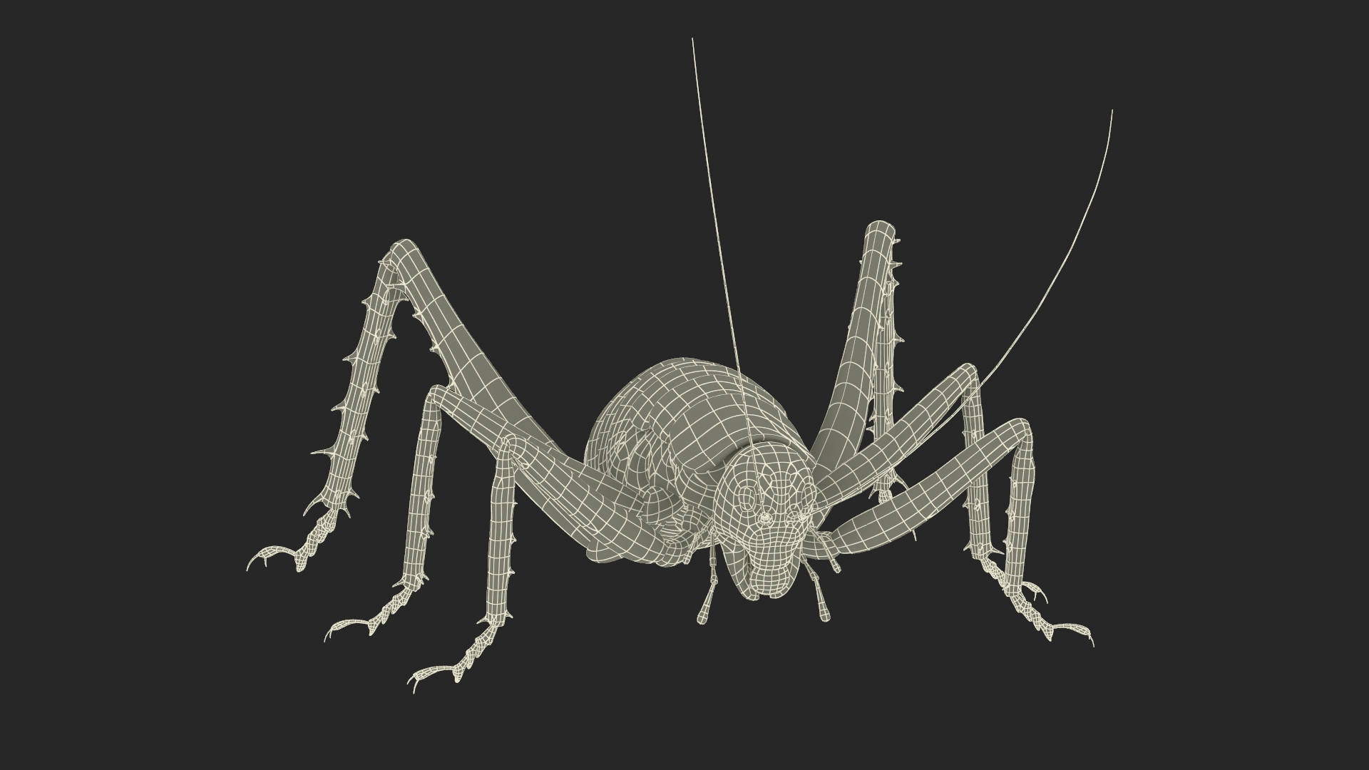 3D Giant Weta Rigged For Maya Model - TurboSquid 2325587