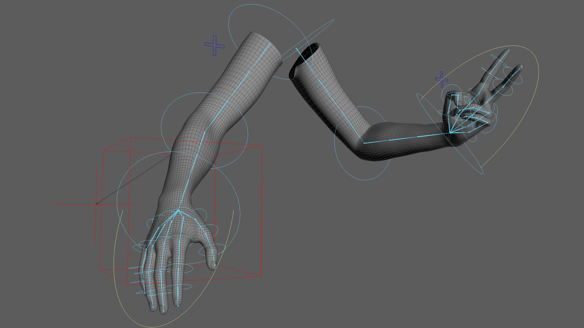 Female Hand Arms Pack - Human Anatomy 3D Model - TurboSquid 2189152