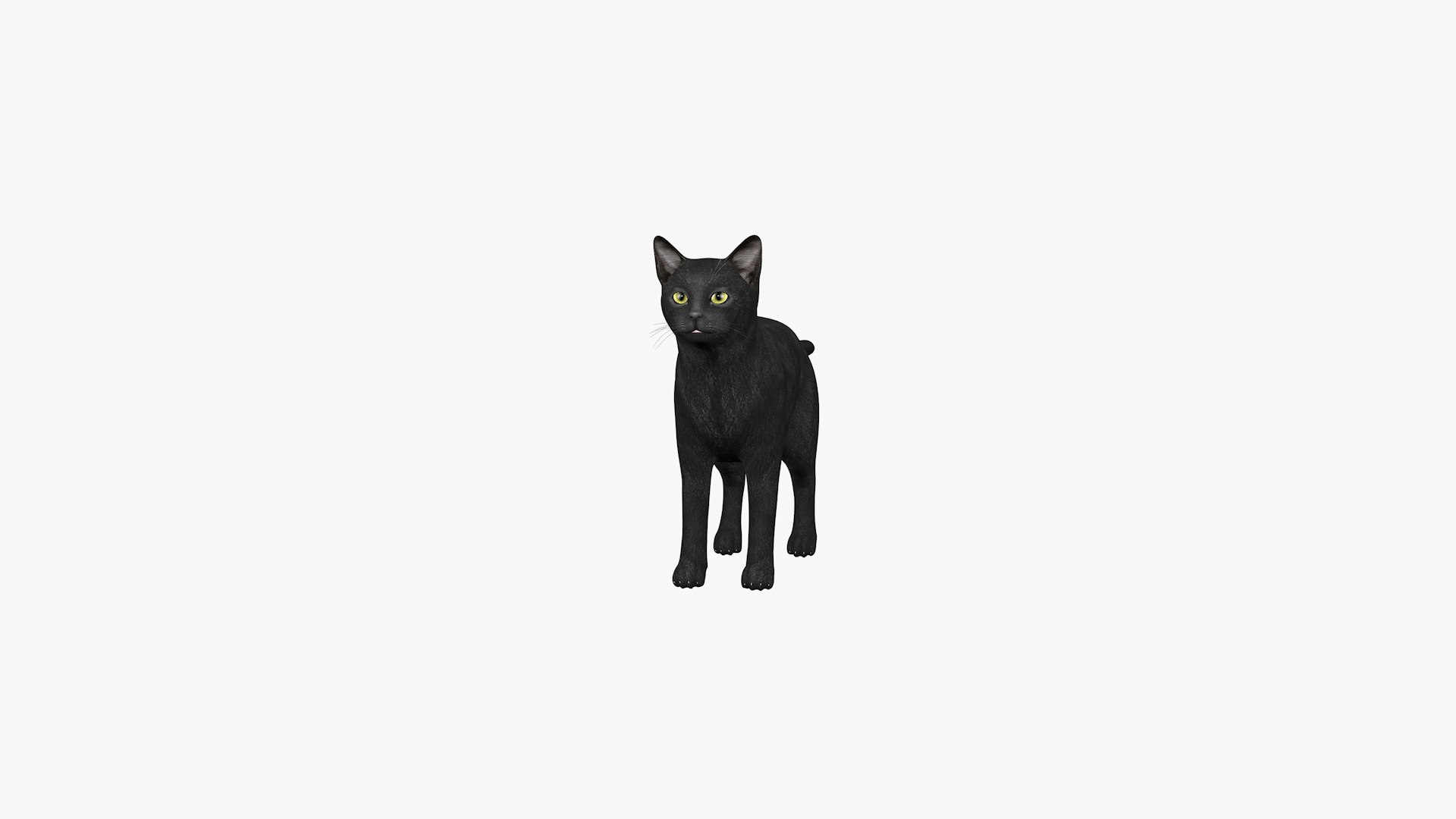 Black Cat 3D Model - TurboSquid 1843978