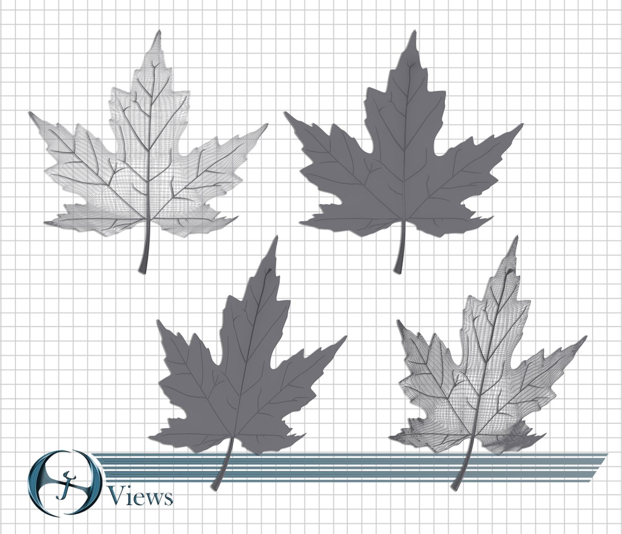 Maple Leaves 3d Model