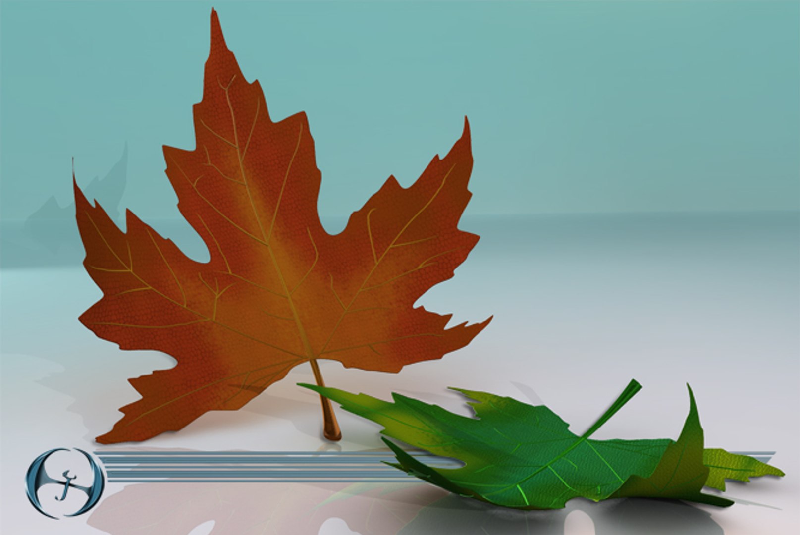 Maple Leaves 3d Model