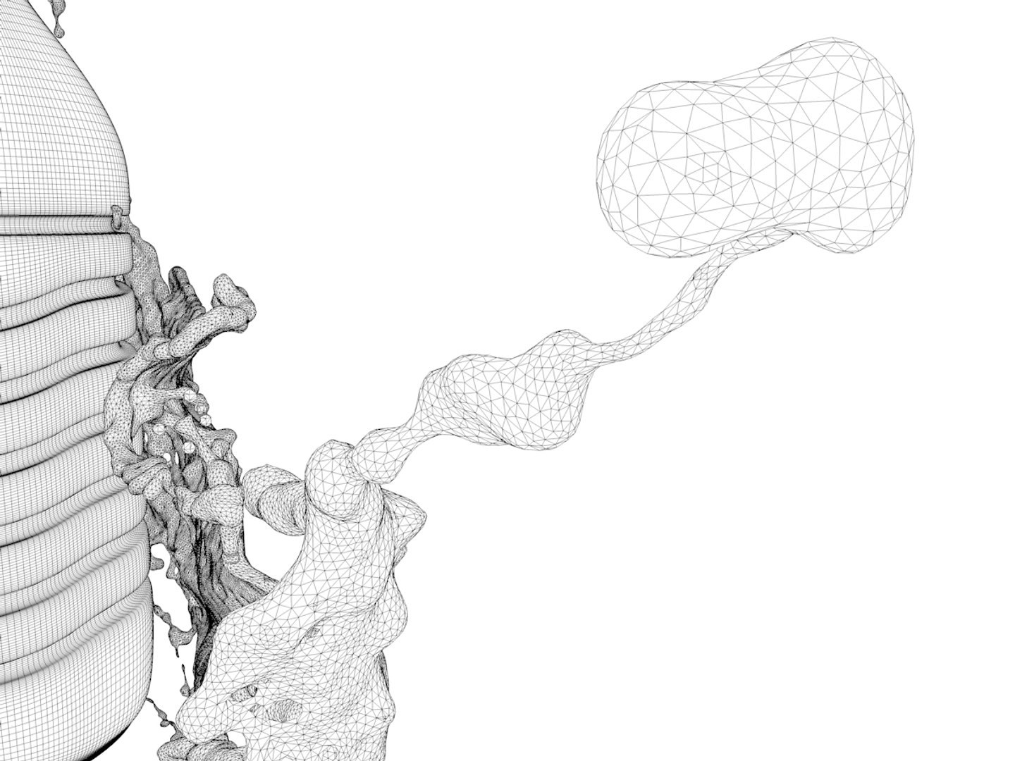 C4d Liquid Splash Bottle Water