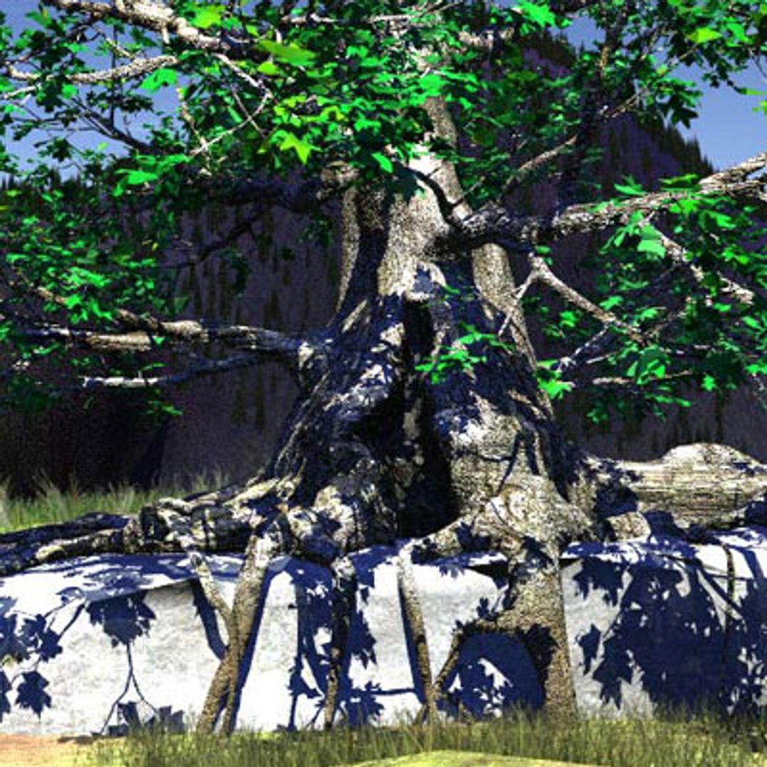 3dsmax Black Old Tree