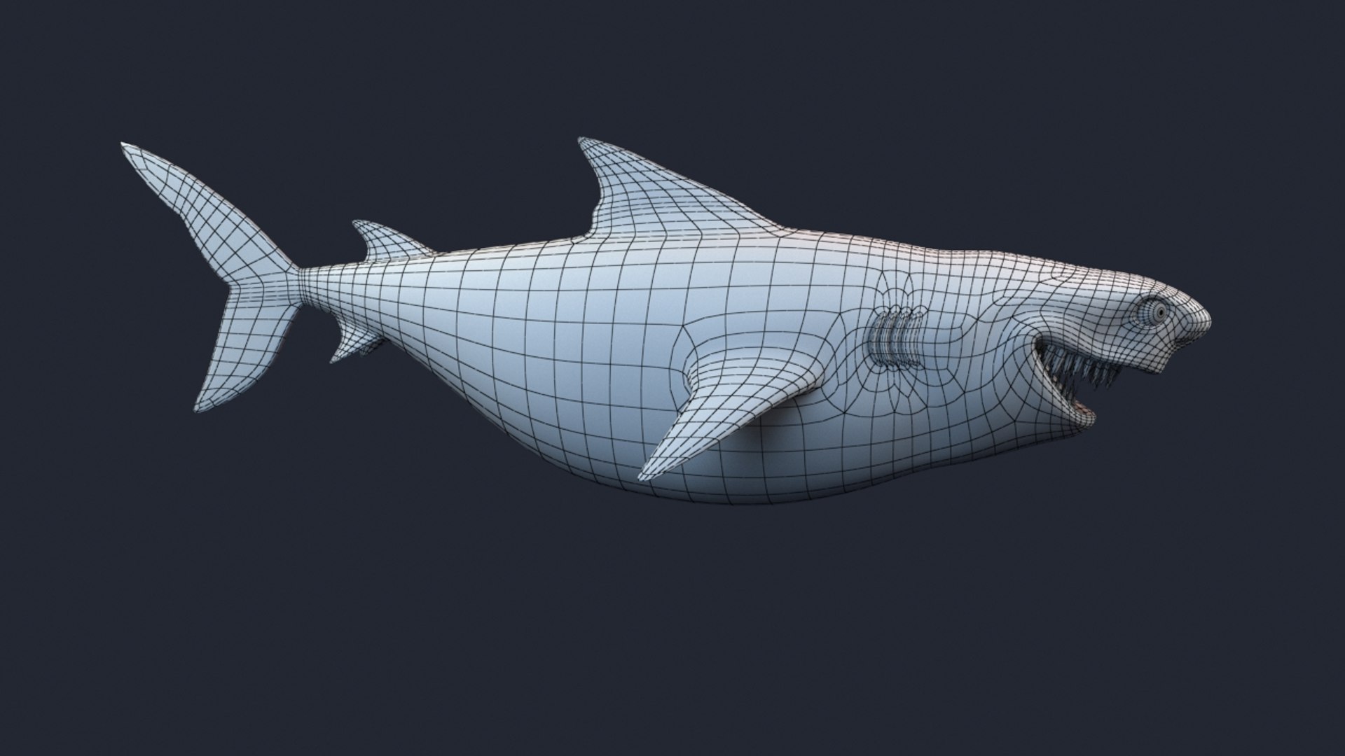-cartoon Shark Rigging Animation 3D - TurboSquid 1175642