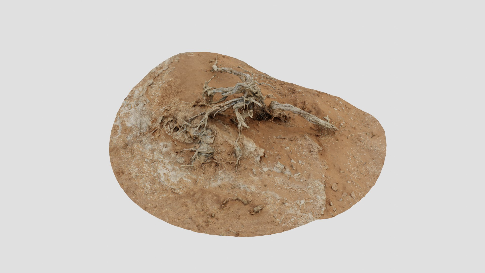 Dry Bush 04 - Scan 3D Model - TurboSquid 2047642