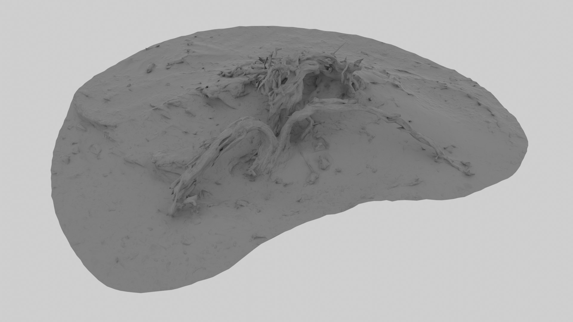Dry Bush 04 - Scan 3D Model - TurboSquid 2047642